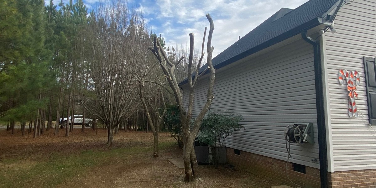 How to Prevent Animal Damage to Trees: Effective Deterrents